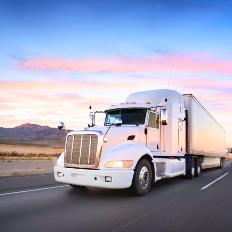 Freight Forwarding - TranspoTrade